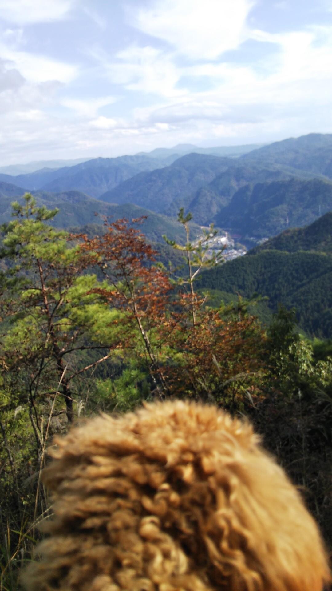 納古山 / daigo777さんの納古山の活動データ | YAMAP / ヤマップ