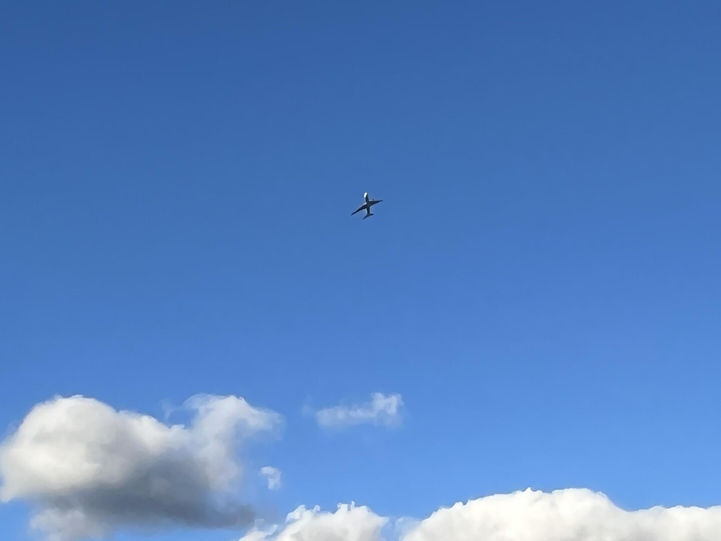 気温が下がった。 / FW16さんの立花山・三日月山・城ノ越山の活動データ | YAMAP / ヤマップ