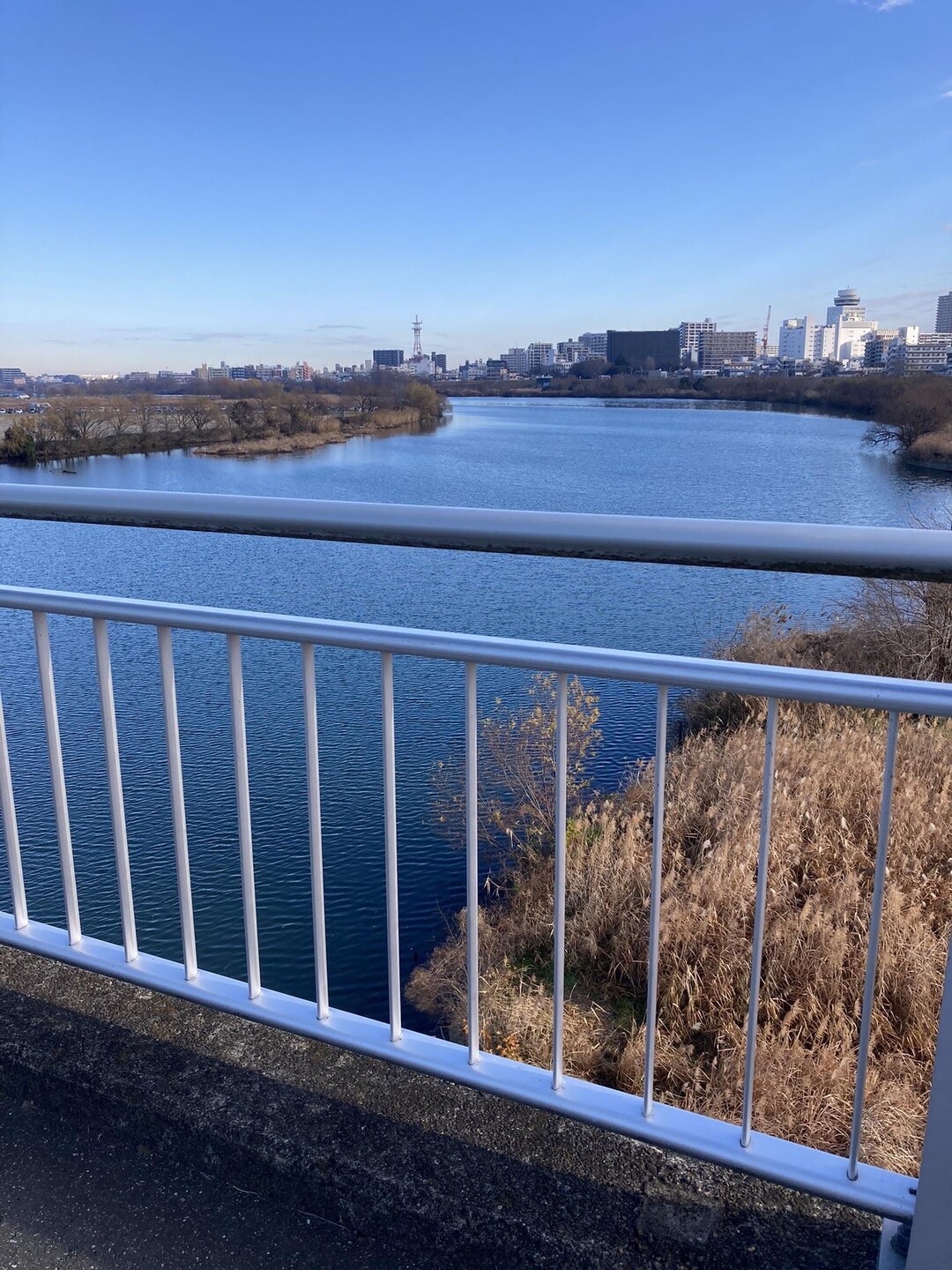 鎌倉街道下道-1日目 / Aokatiさんの東京都23区 東エリアの活動データ | YAMAP / ヤマップ