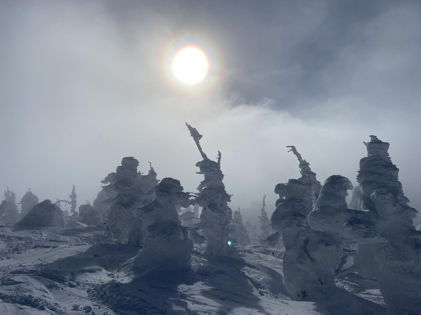 蔵王温泉スキー場の動画UPしました。 h... / YUTAさんのモーメント | YAMAP / ヤマップ