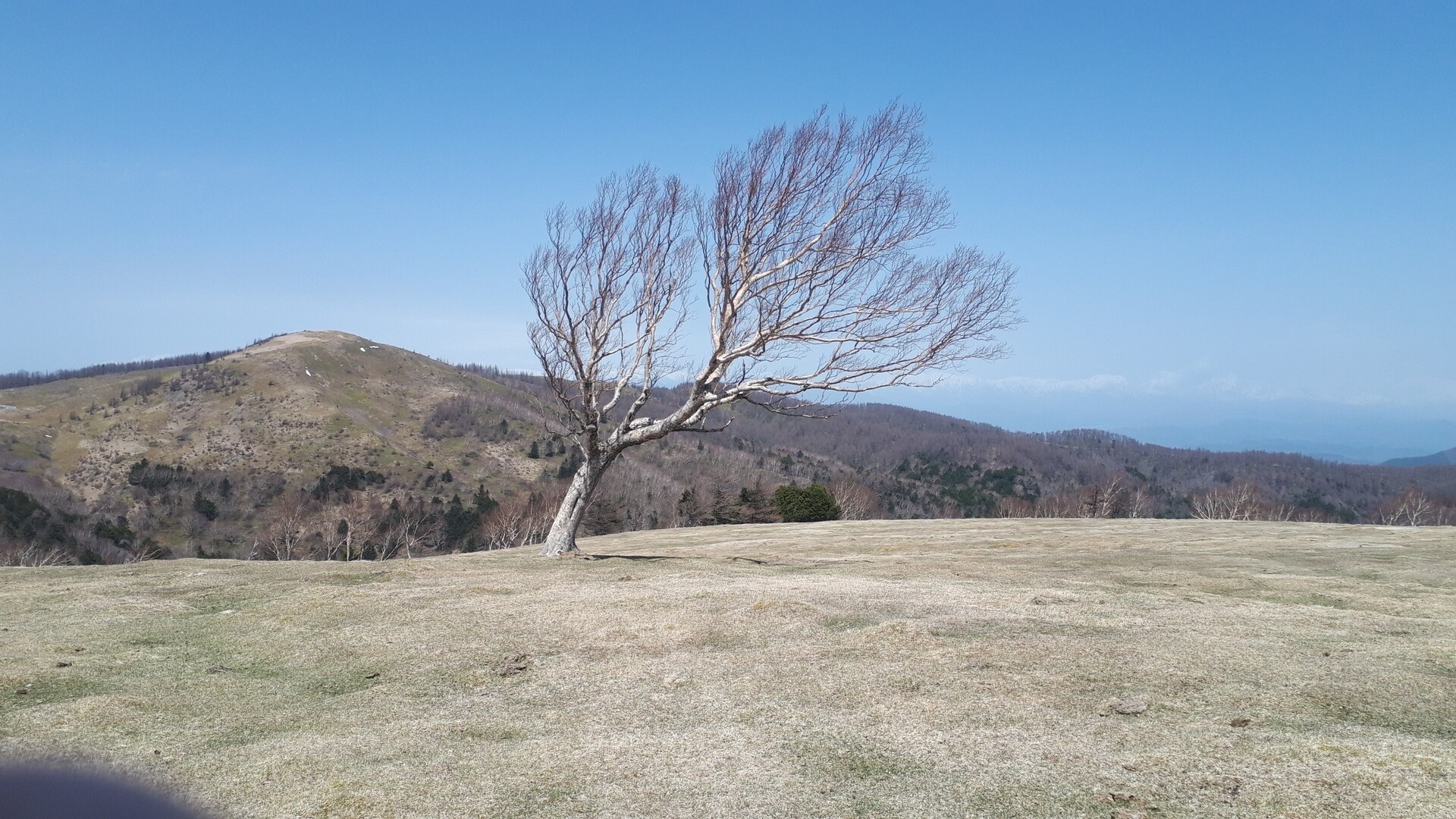 焼山 / James Van Lieuさんの美ヶ原の活動日記 | YAMAP / ヤマップ