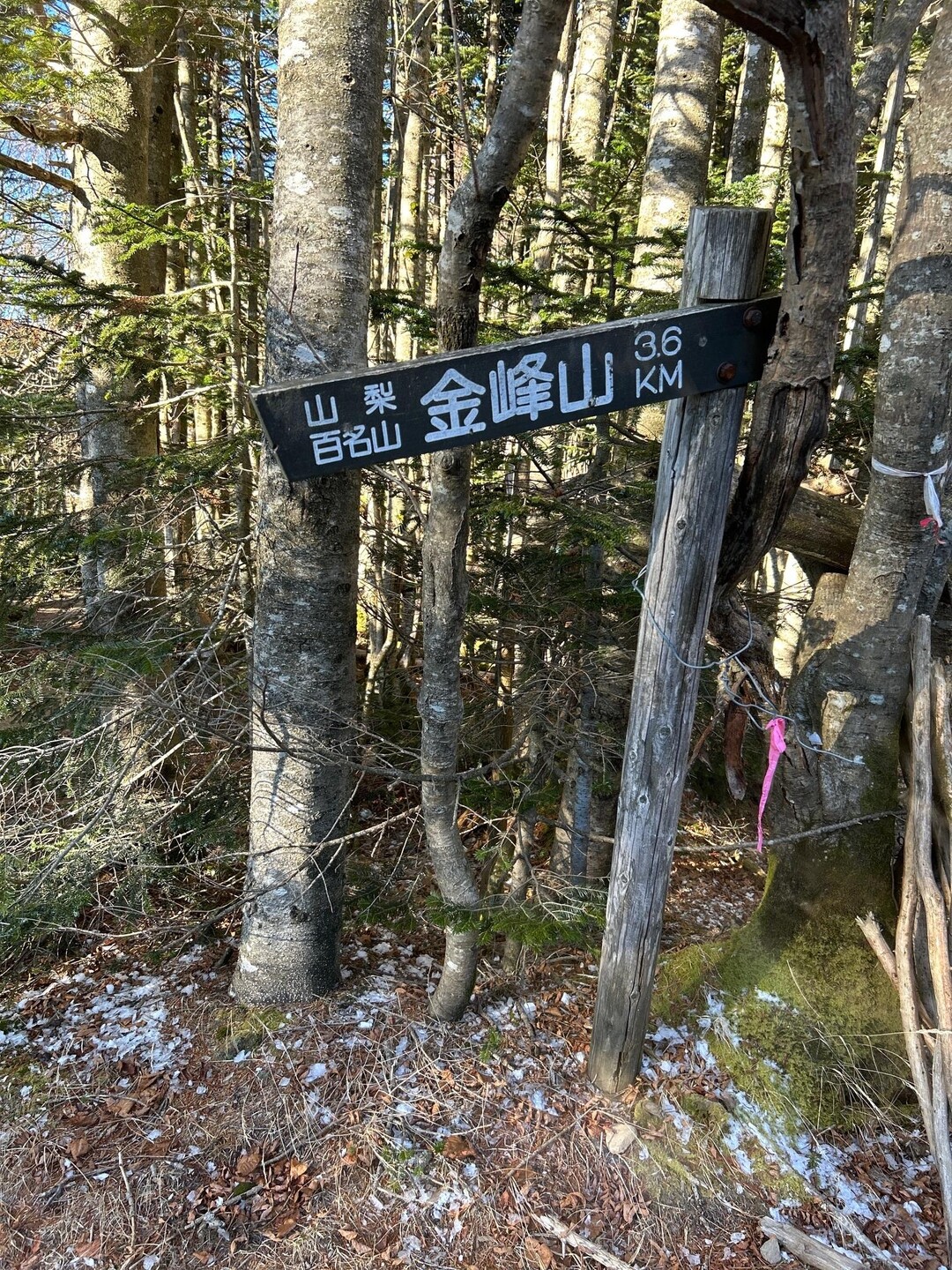 朝日岳・鉄山・金峰山（甲州御岳山） / tgさんの瑞牆山・金峰山の活動データ | YAMAP / ヤマップ