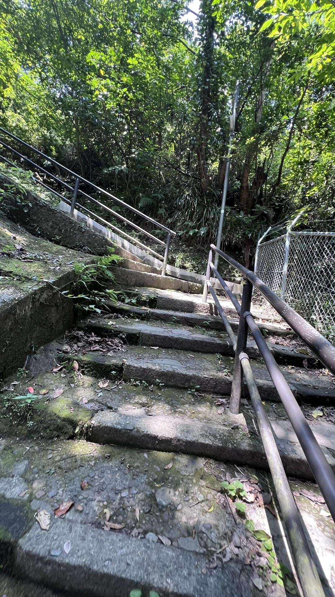 ウォーキング-2023-06-12 / Toshiさんのウォーキングの活動データ | YAMAP / ヤマップ