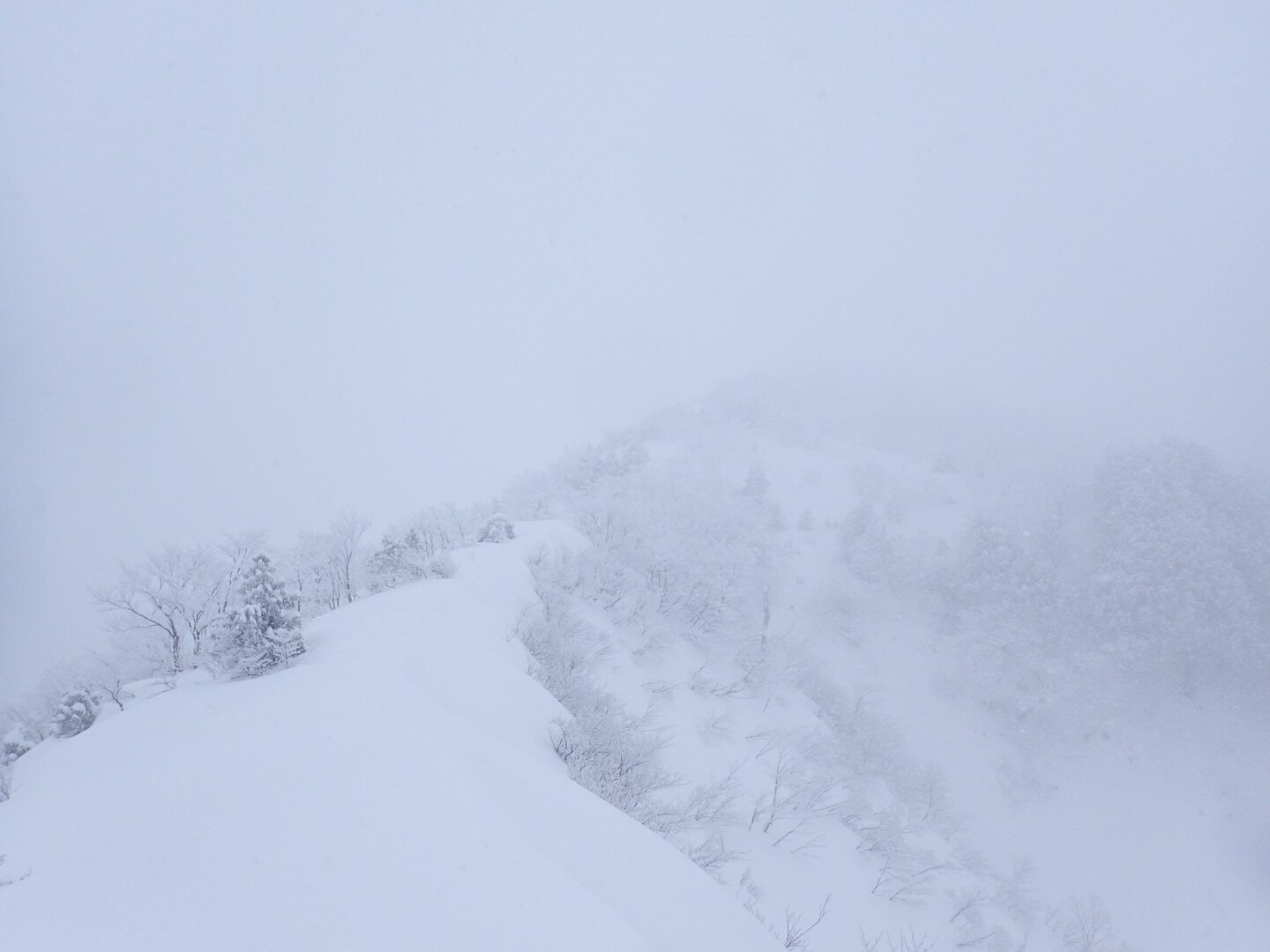 雪山ハイク 茂倉岳撤退（矢場の頭まで） / S.Kitaさんの谷川岳・七ツ小屋山・大源太山の活動データ | YAMAP / ヤマップ