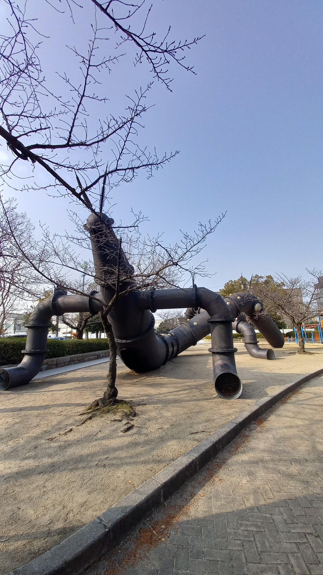 成人の日ウォーキング / Takashiさんのウォーキングの活動データ | YAMAP / ヤマップ