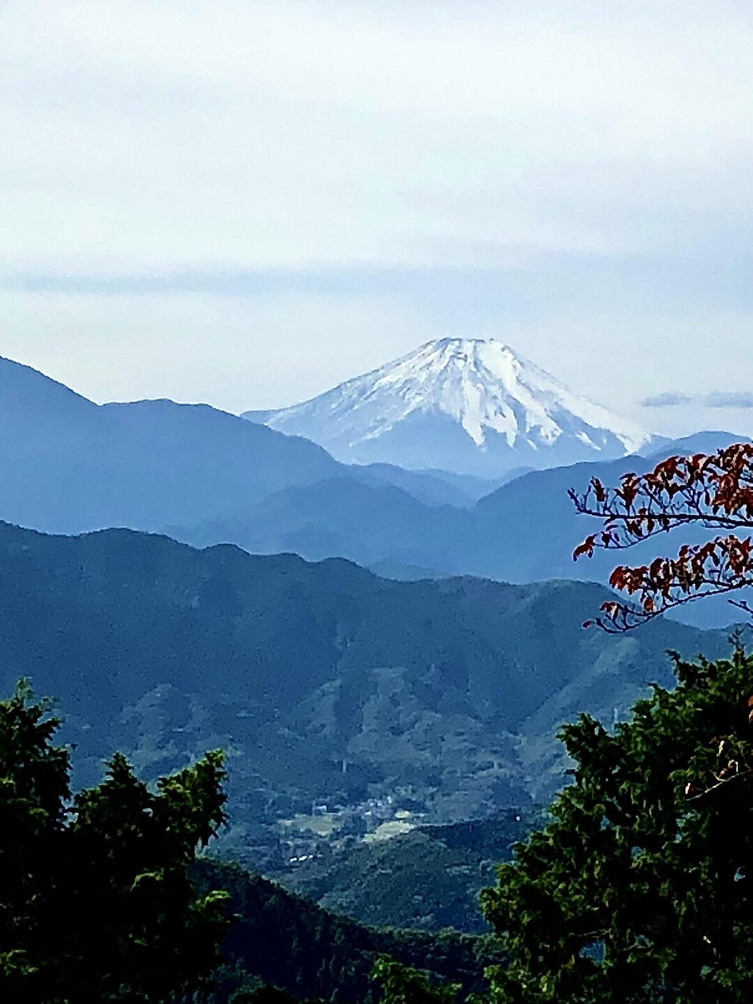 神変山・高尾山 初挑戦٩( 'ω' )و / morimoriさんの高尾山・陣馬山・景信山の活動データ | YAMAP / ヤマップ