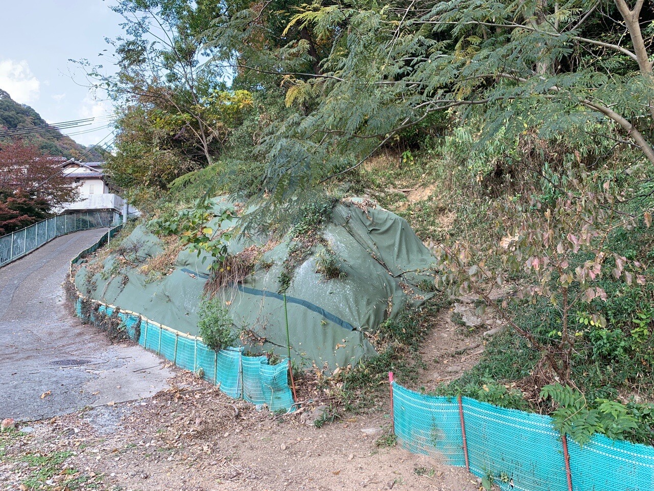 ERlii*さんの投稿したフィールドメモ | YAMAP / ヤマップ