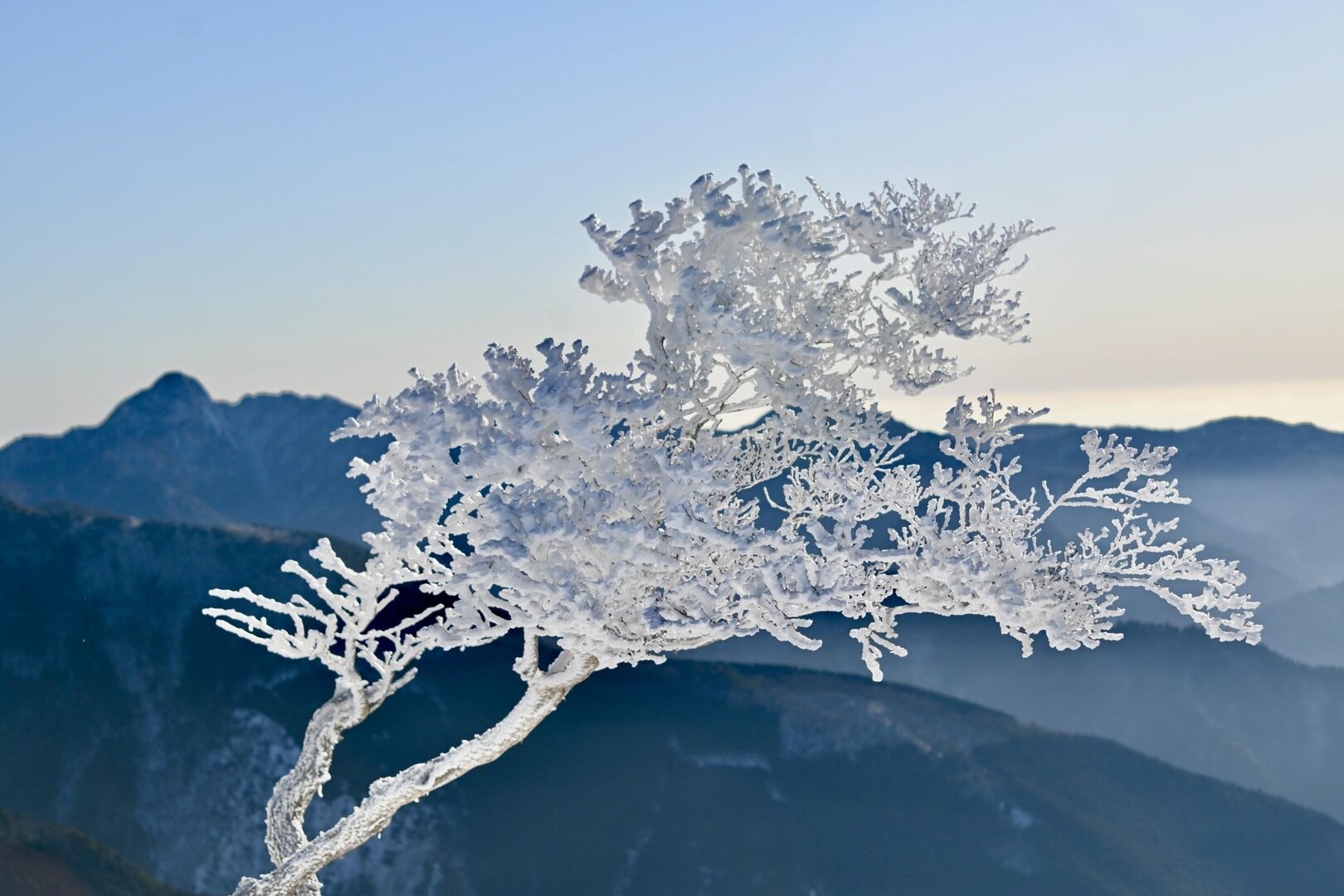 白龍の背中に…綿向山。 / Wis⁂さんの綿向山の活動データ | YAMAP / ヤマップ