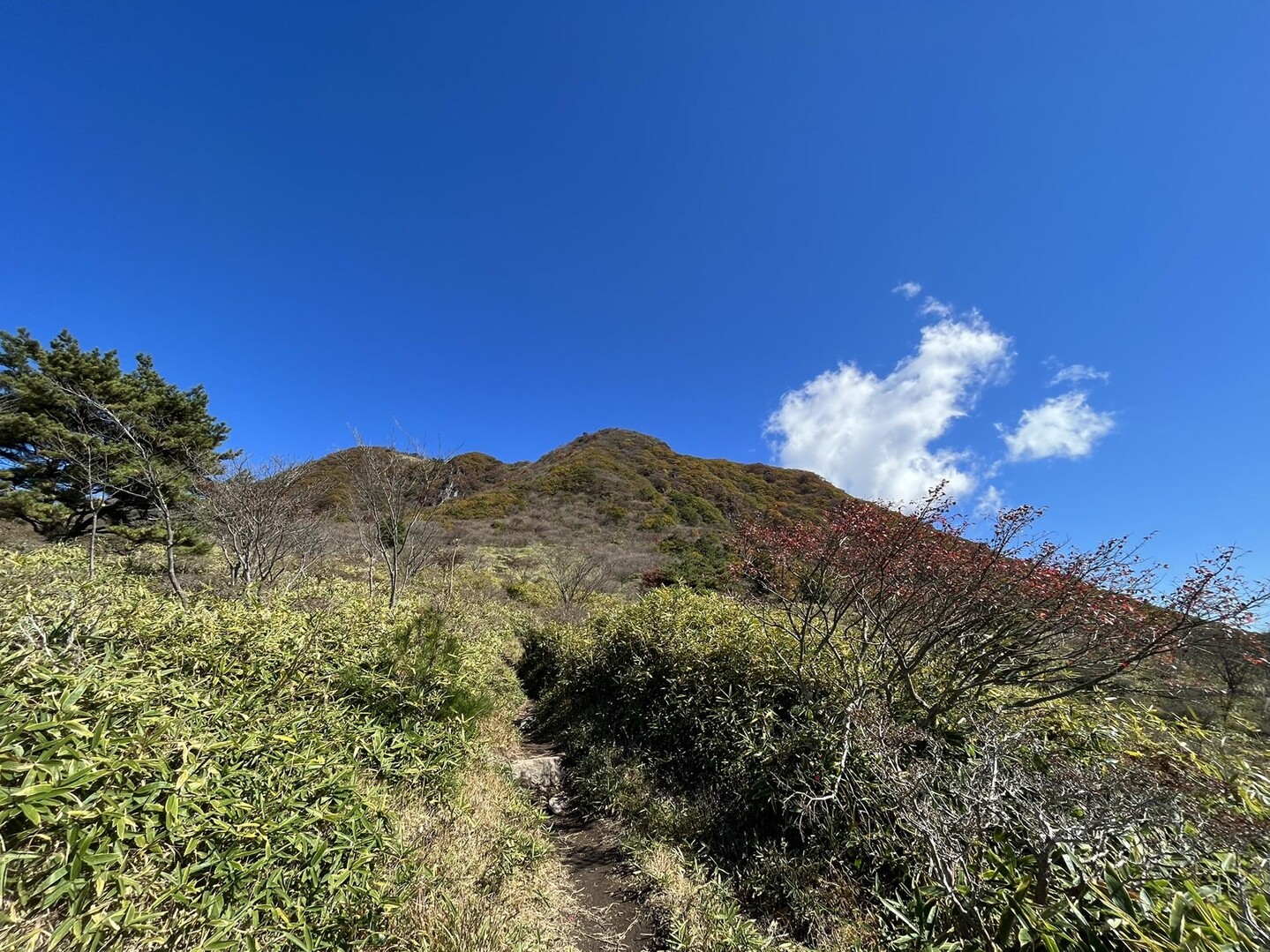 手ぬぐいハント🍁その③鍋割山 / ISMさんの赤城山・黒檜山・荒山の活動データ | YAMAP / ヤマップ