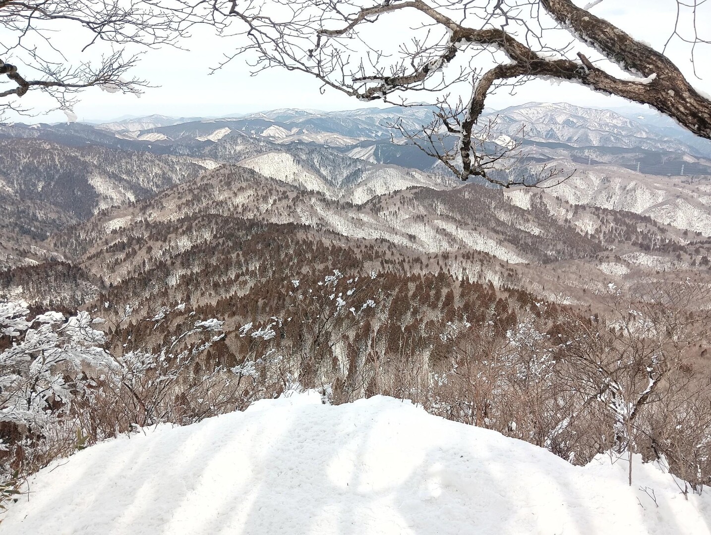 吉和冠山 / Mitz@さんの吉和冠山（安芸冠山）・広高山・寂地山の活動データ | YAMAP / ヤマップ