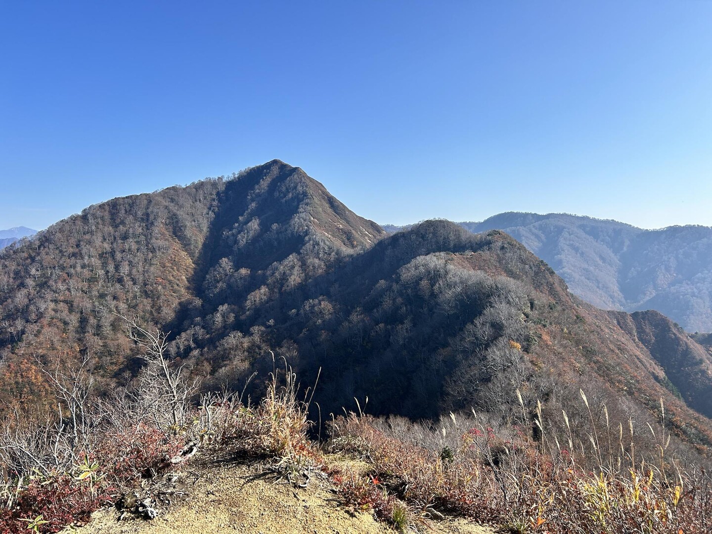 子うさぎさん？光兎山！残念ながら雷峰まで / namiさんの光兎山・奥山（虚空蔵峰）の活動データ | YAMAP / ヤマップ