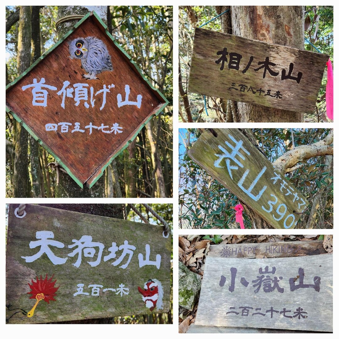 相の木パワーライン / 小じわたる美さんの竜王山・鋤尖山・鬼ヶ城の活動データ | YAMAP / ヤマップ