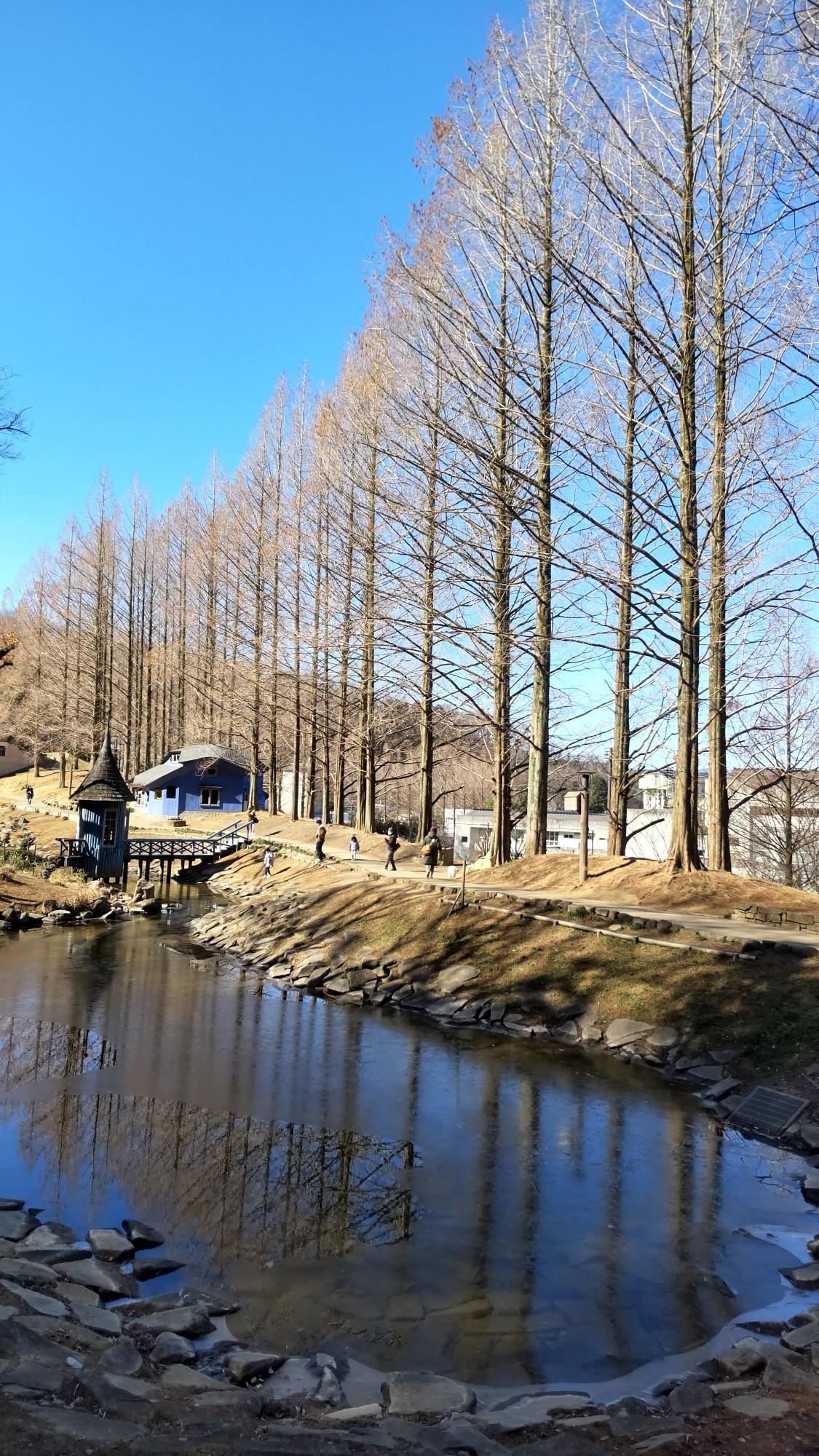 ハイキングからの預り保育兼たこパ突入な週... / はなさんのモーメント | YAMAP / ヤマップ