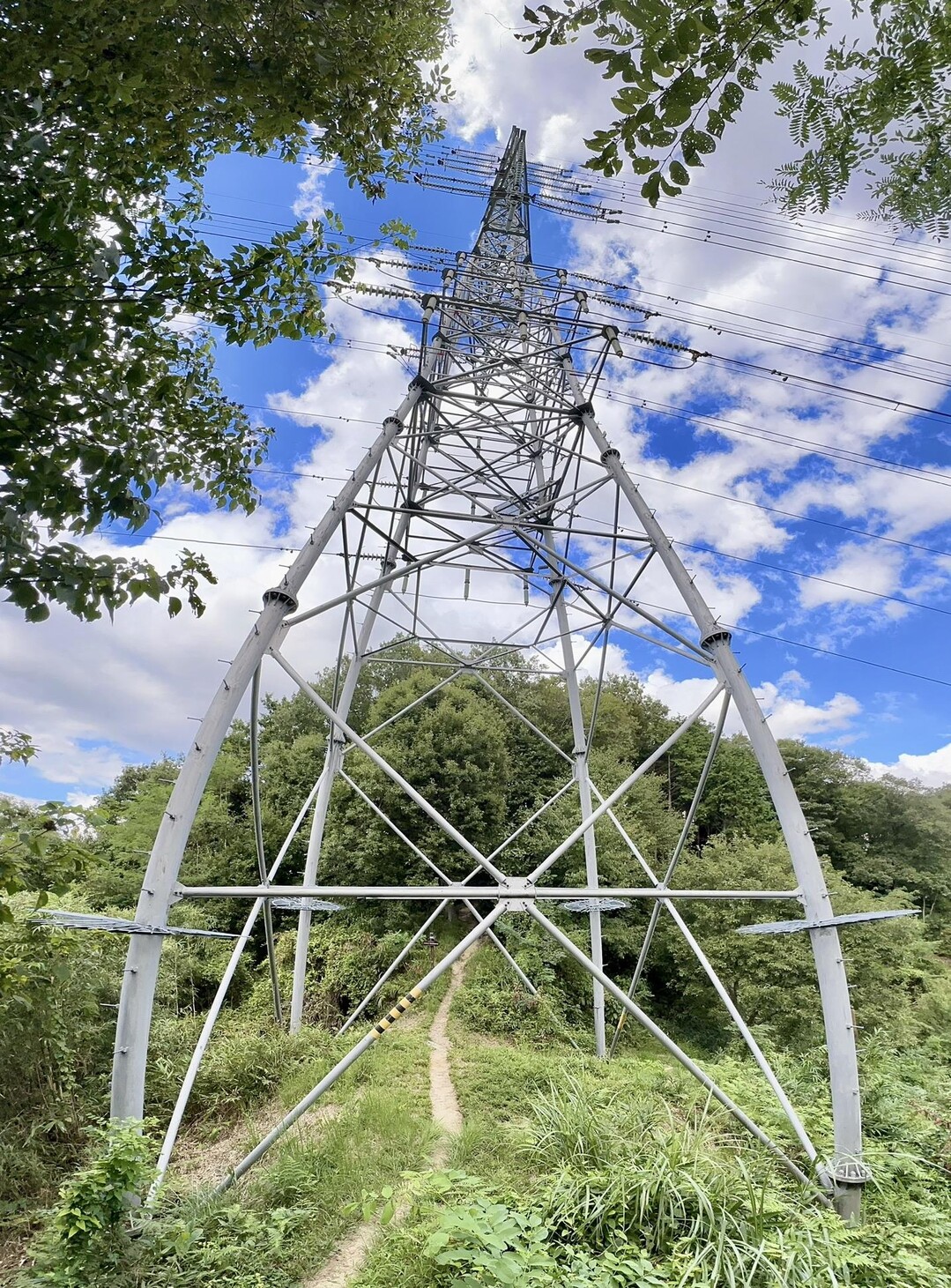 国見山からUターン / もーさんさんの交野山・国見山の活動データ | YAMAP / ヤマップ