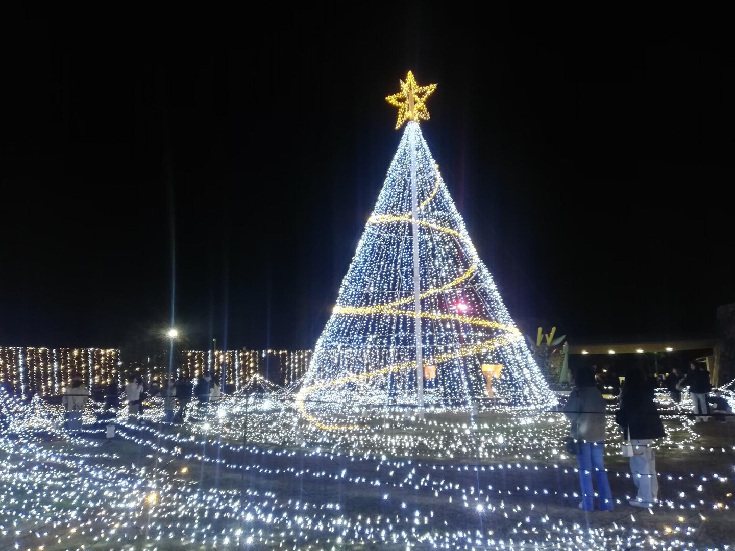 まんのう公園 ウインター⛄ファンタジー / Mt. 3776さんの大高見峰・猫山・城山の活動データ | YAMAP / ヤマップ
