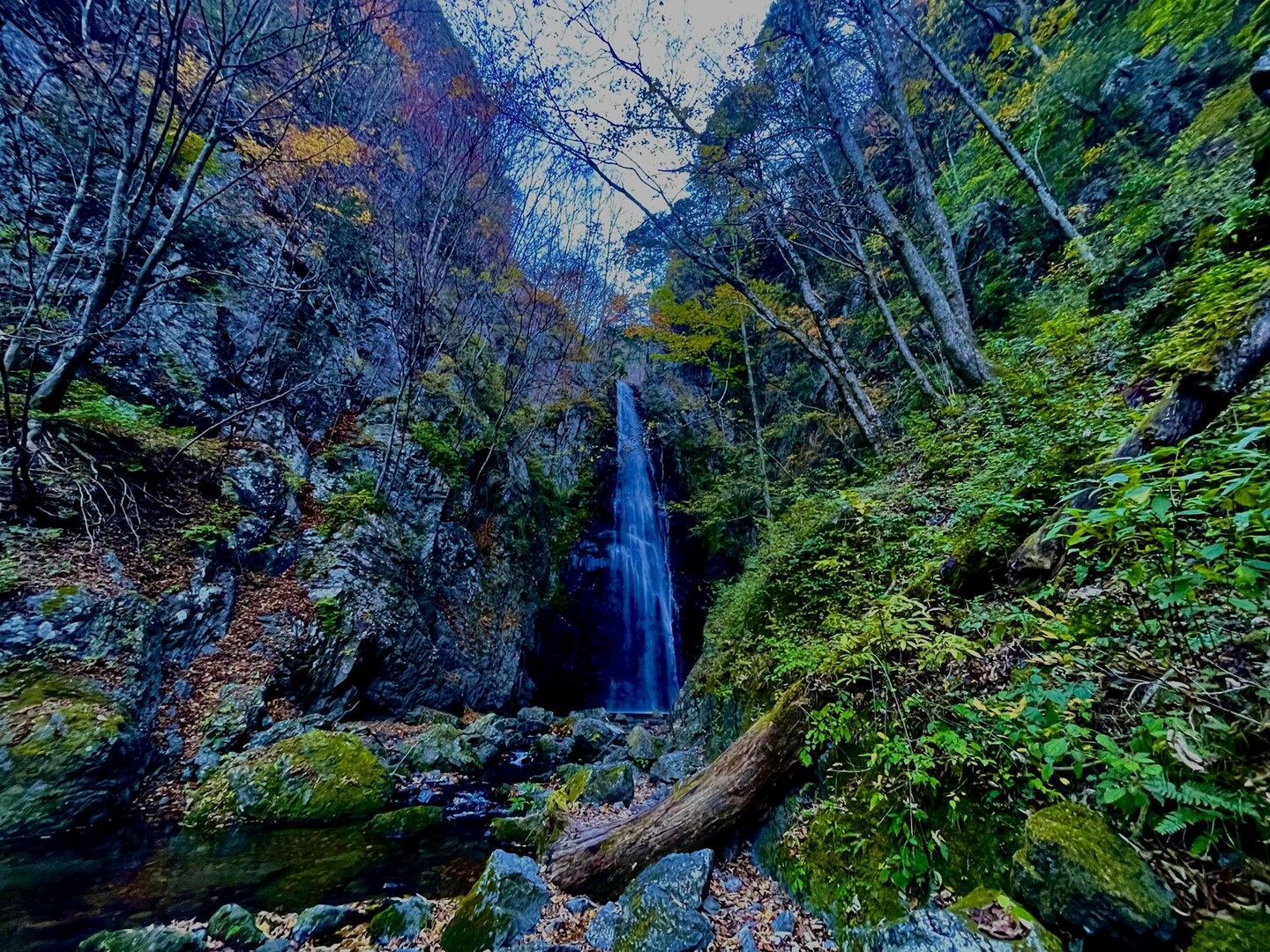 初冬の川苔山（川乗山）2024 / ekさんの川苔山（川乗山）の活動データ | YAMAP / ヤマップ