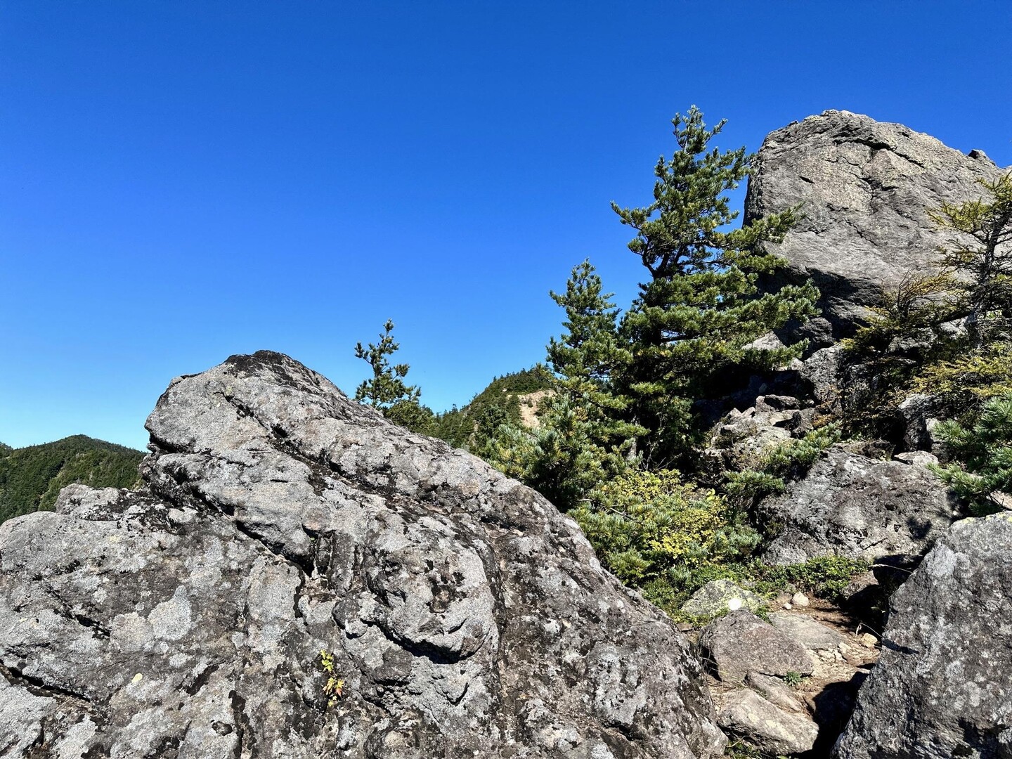 水ノ塔山 / qkaruさんの湯ノ丸山・角間山・鍋蓋山の活動データ | YAMAP / ヤマップ