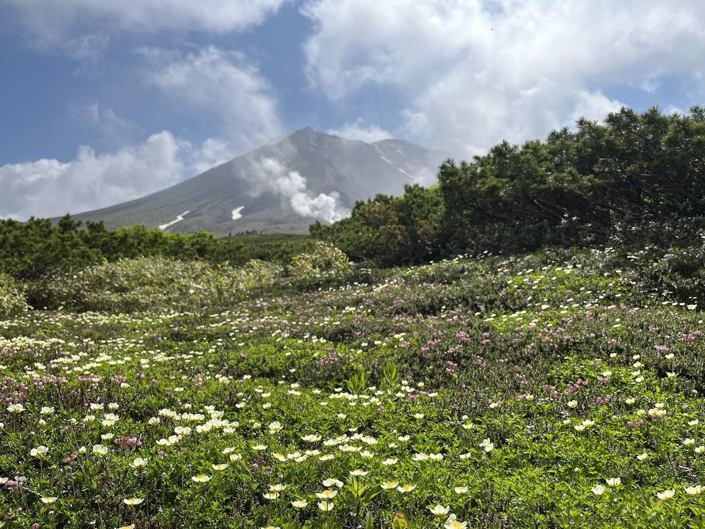 神々の遊ぶ庭、カムイミンタラ♫北海道遠征2ndシーズン開幕☆Day1 1st 旭岳 / タカーニョさんの大雪山系・旭岳・トムラウシの活動データ | YAMAP / ヤマップ
