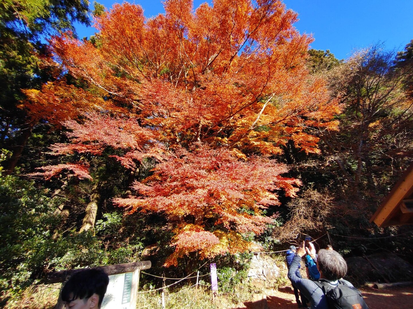 筑波山（女体山）・筑波山（男体山）20241207 / gunさんの筑波山の活動データ | YAMAP / ヤマップ