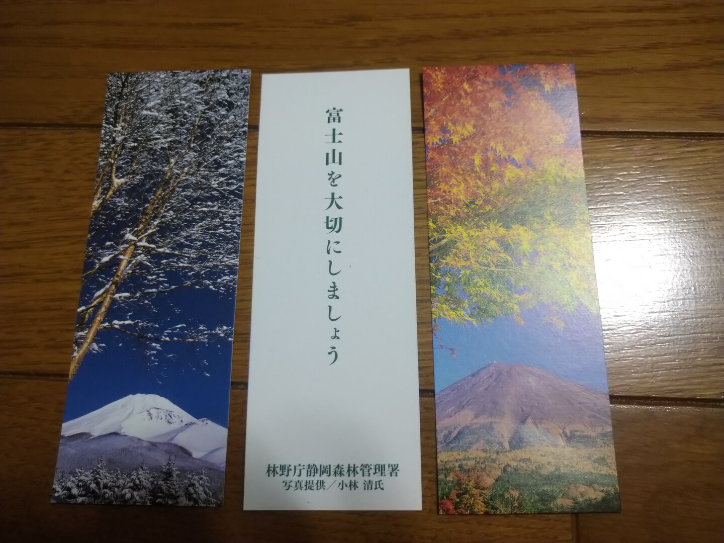 引っ越し準備の片付け祭り中。 富士山でゲ... / takeriさんのモーメント | YAMAP / ヤマップ