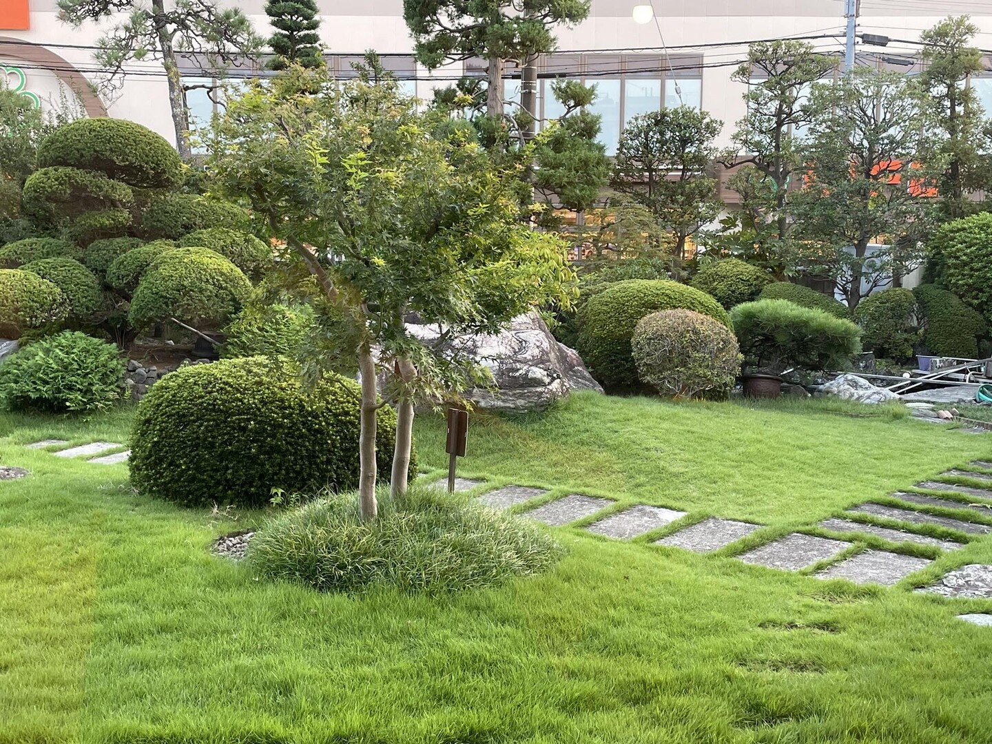 昨日はなんと ️オペラのLIVEに行って... / みくわさんのモーメント | YAMAP / ヤマップ