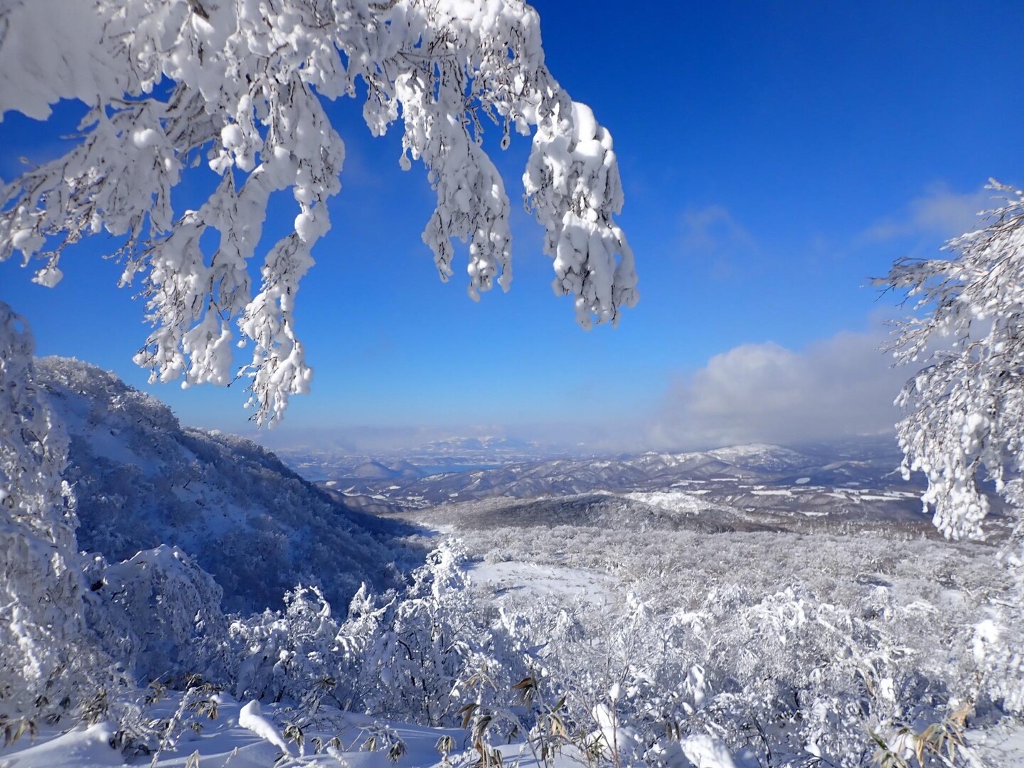 オロフレ樹氷 ️&本貫気別山 / アナベルさんの貫気別山・リビラ山の活動日記 | YAMAP / ヤマップ