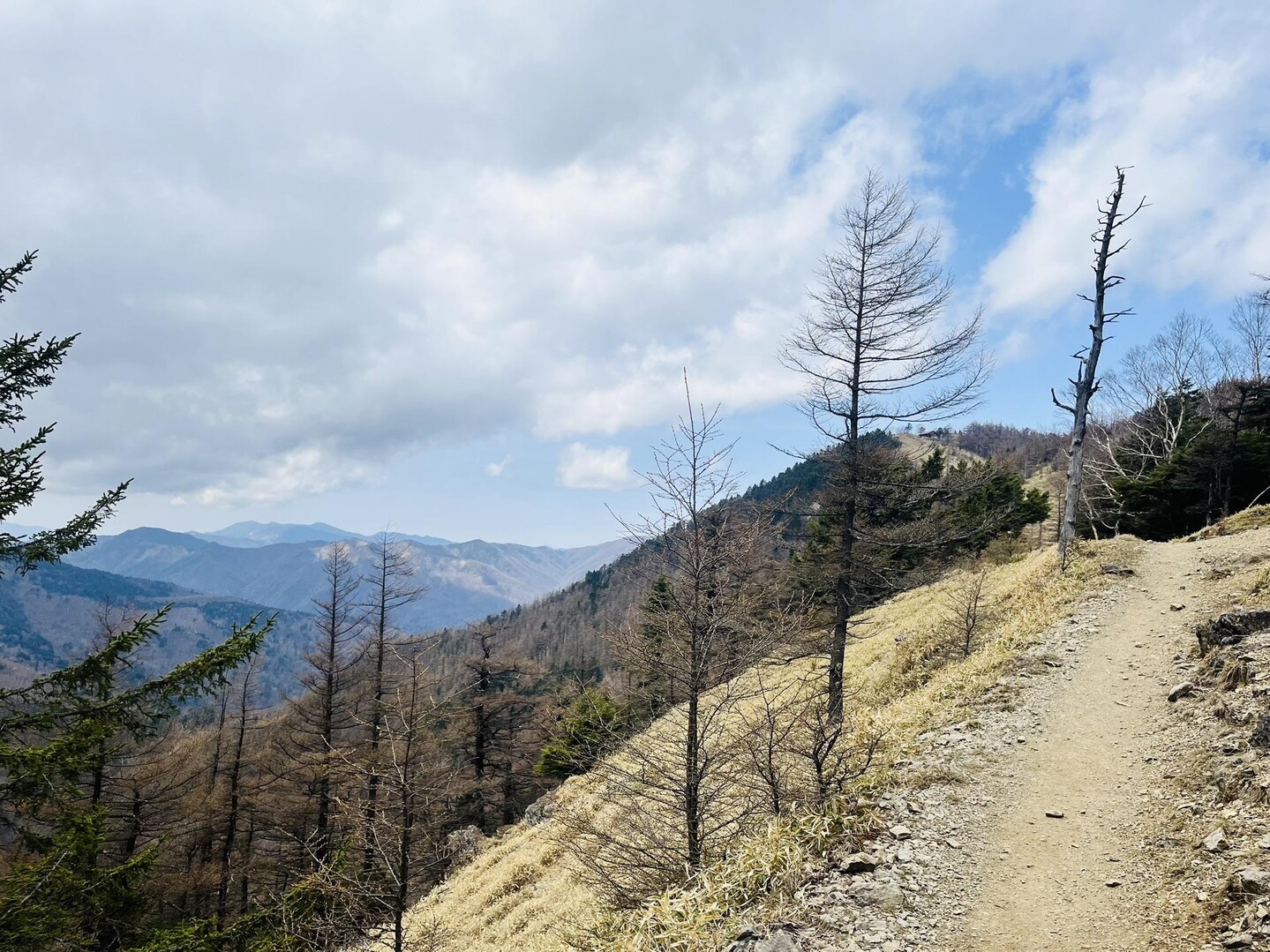 雲取山 / muramiさんの雲取山・鷹ノ巣山・七ツ石山の活動データ | YAMAP / ヤマップ