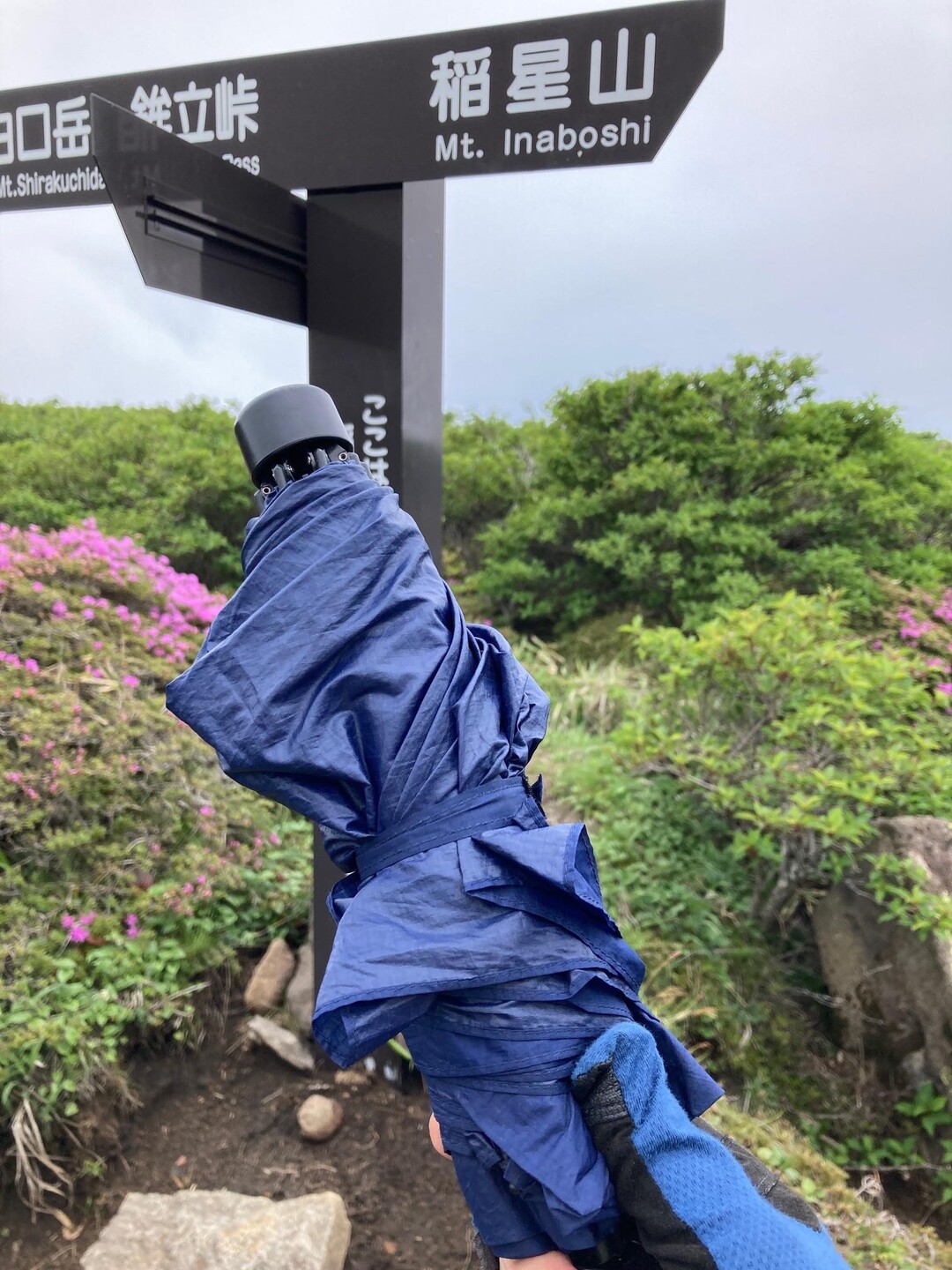 Hanamamさんの投稿したフィールドメモ | YAMAP / ヤマップ