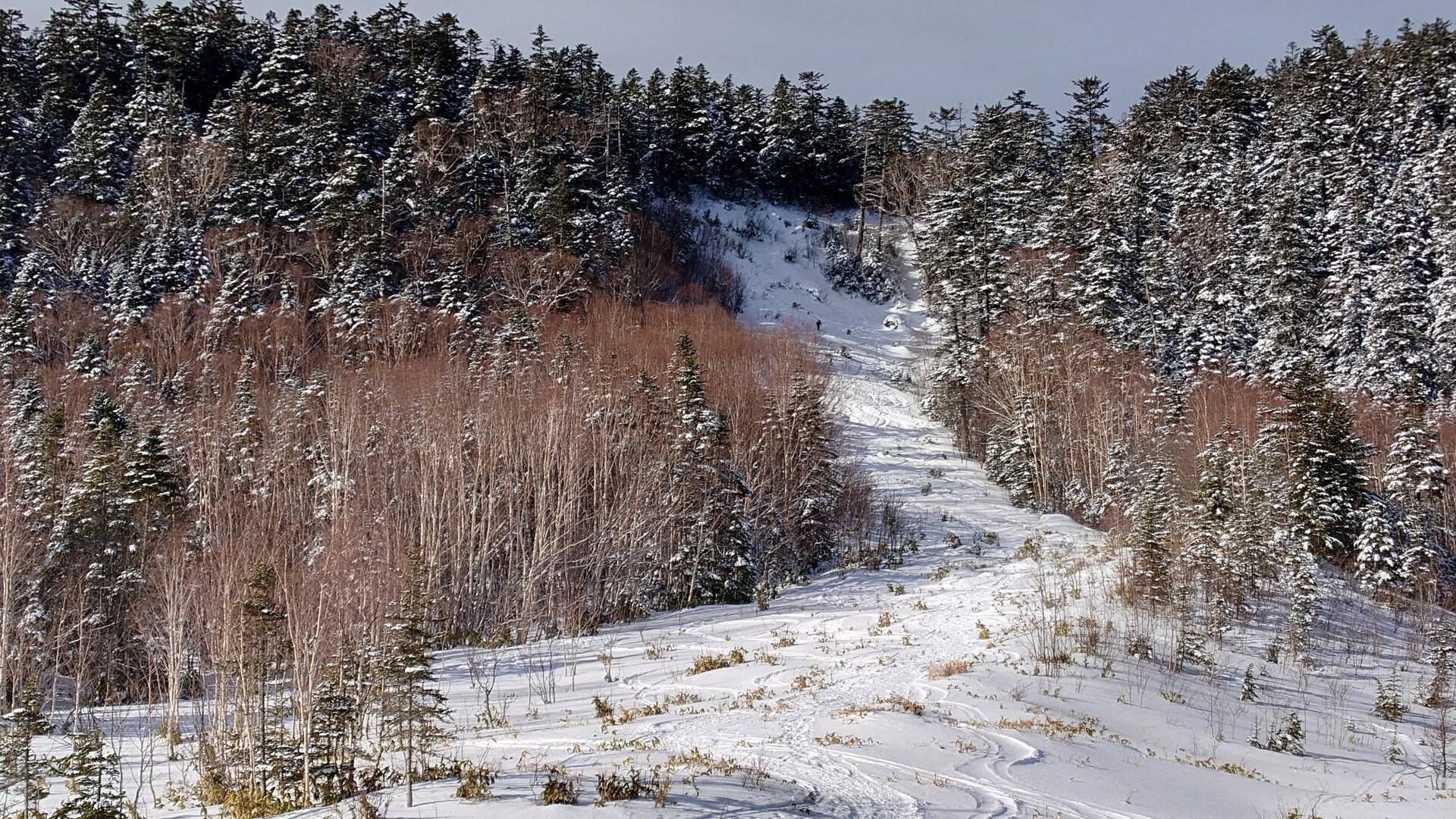 Mt.乗鞍 BCスキー練習②-2024-01-02 / mc40さんの乗鞍岳の活動データ | YAMAP / ヤマップ