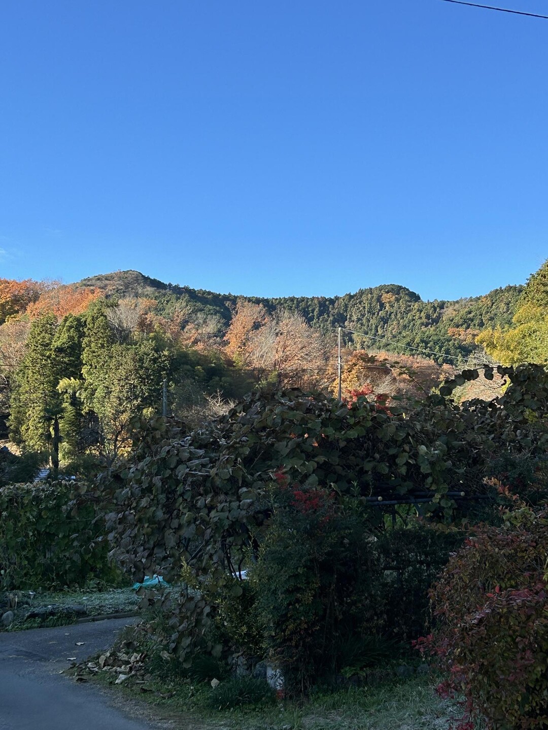 官ノ倉山・石尊山 / SunKingさんの堂平山・笠山（乳房山）・大霧山の活動データ | YAMAP / ヤマップ