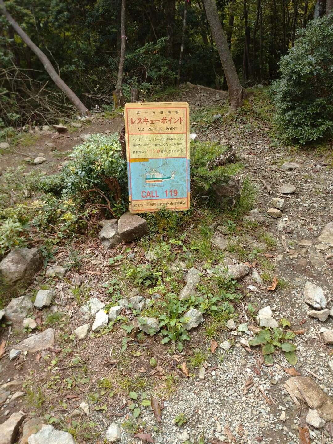 毛無山 / Tamuさんの毛無山・雨ヶ岳・竜ヶ岳の活動データ | YAMAP / ヤマップ