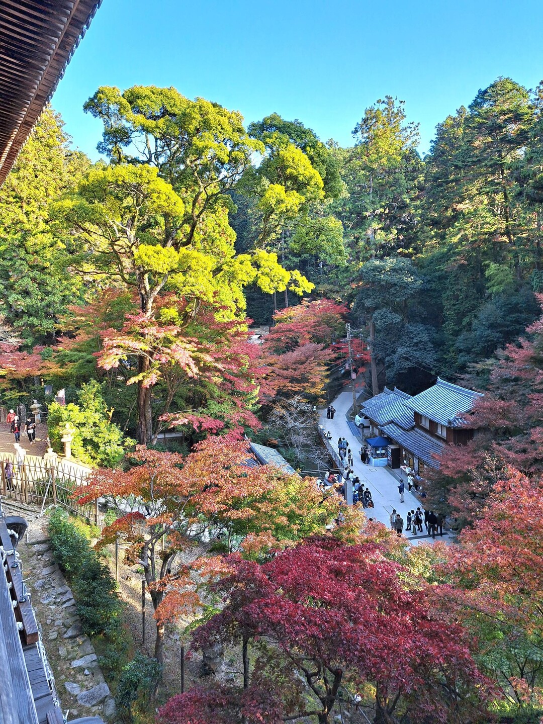 鯰尾坂～書写山 もみじまつり / もりのくまさんさんの書写山・伊勢山・とんがり山の活動データ | YAMAP / ヤマップ