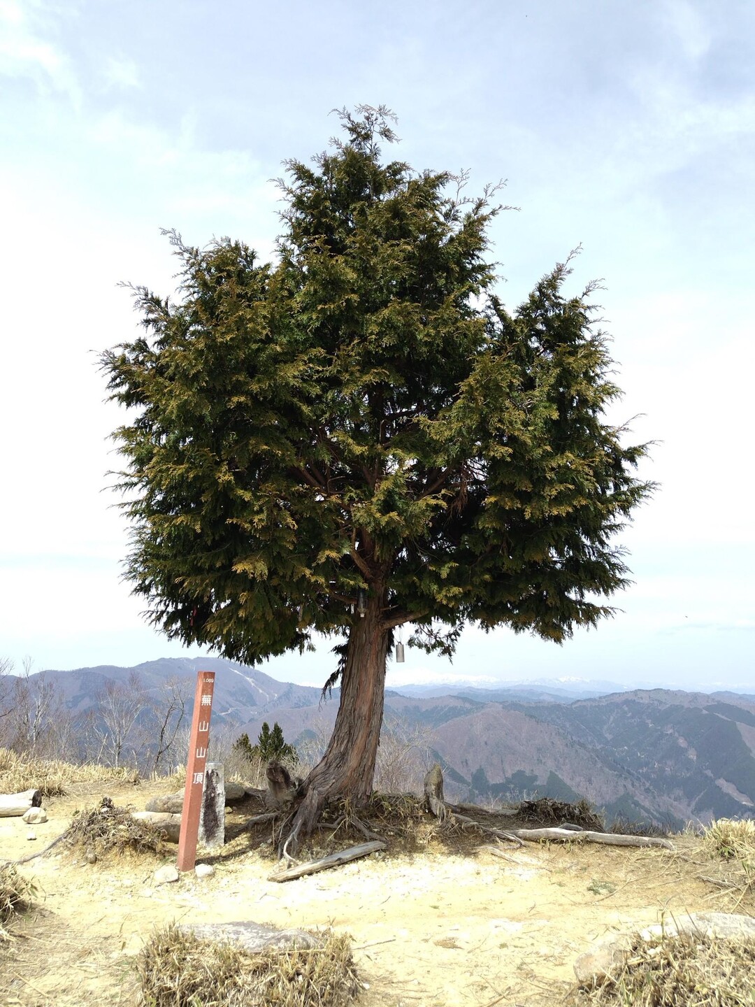 蕪山 / yauraさんの蕪山の活動データ | YAMAP / ヤマップ