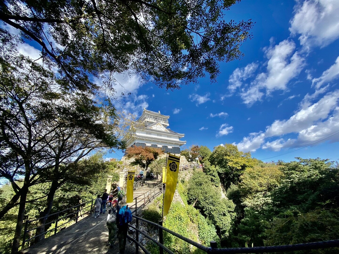 2年ぶりの各アル〜金華山トラバース💨 / Y45Uさんの各務原アルプス（関南アルプス）・八木三山の活動データ | YAMAP / ヤマップ