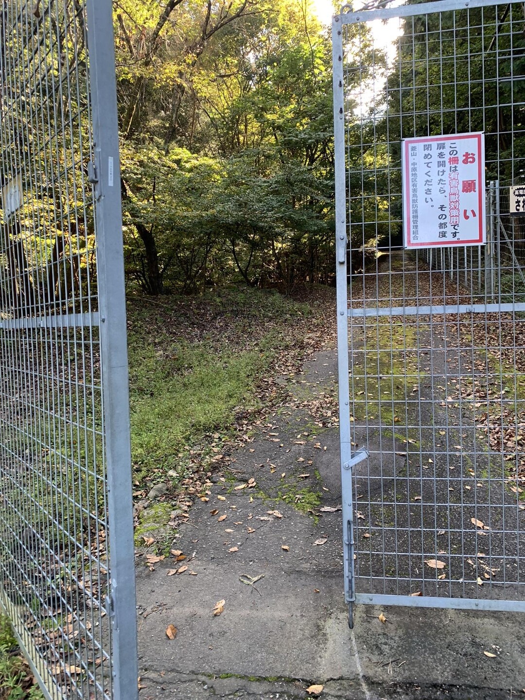 RIKIさんの投稿したフィールドメモ | YAMAP / ヤマップ