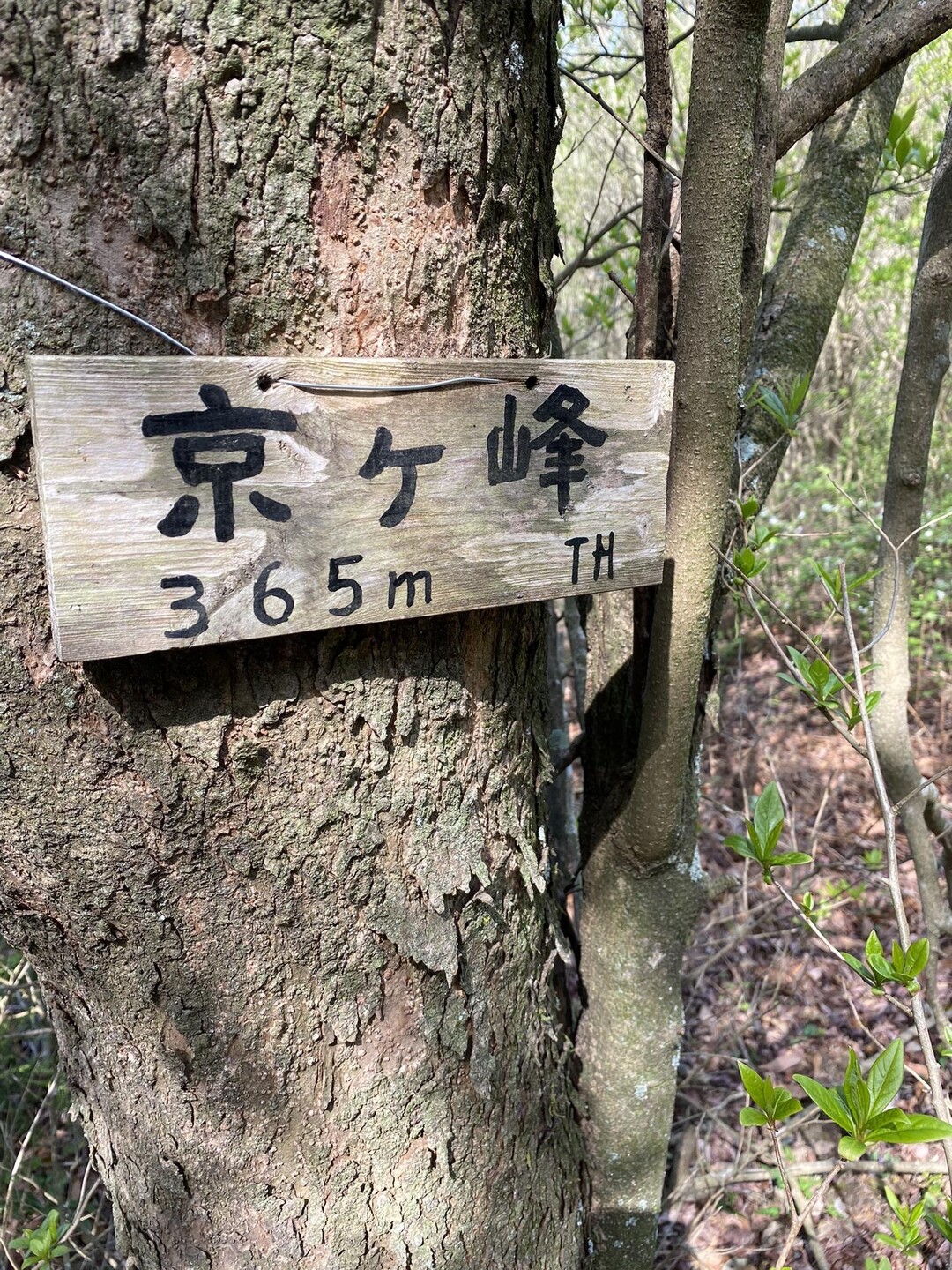 京ヶ峰 / 130tさんの額堂山・水晶山・京ヶ峯の活動データ | YAMAP / ヤマップ