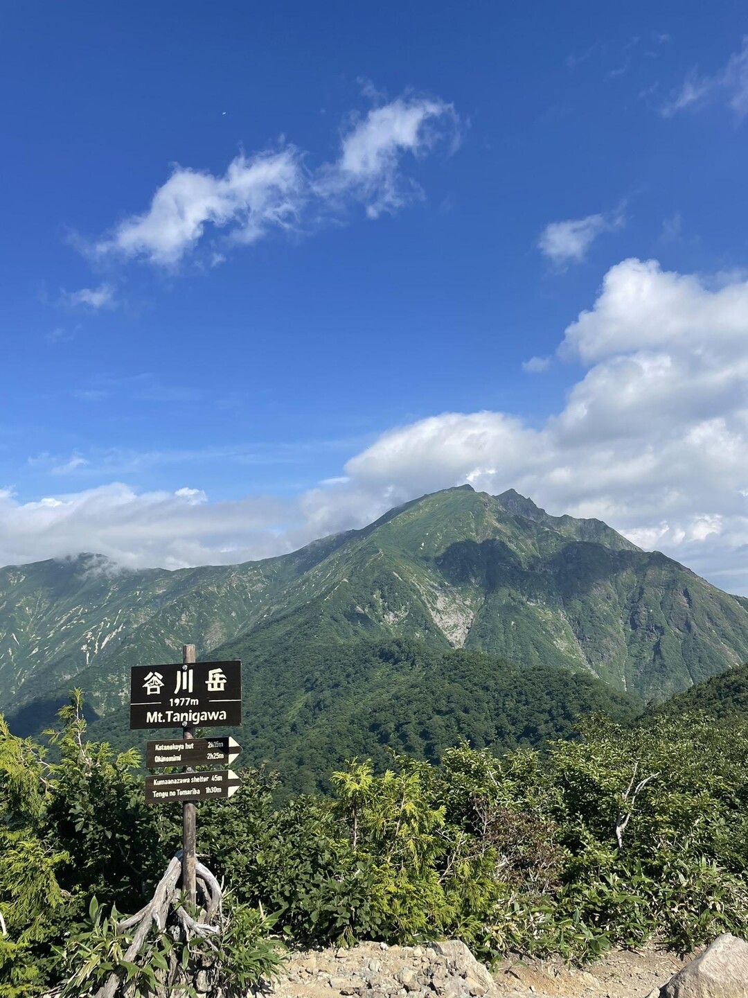 天神山・熊穴沢ノ頭・谷川岳（トマの耳）・谷川岳（オキノ耳） / 10827さんの谷川岳・七ツ小屋山・大源太山の活動データ | YAMAP / ヤマップ