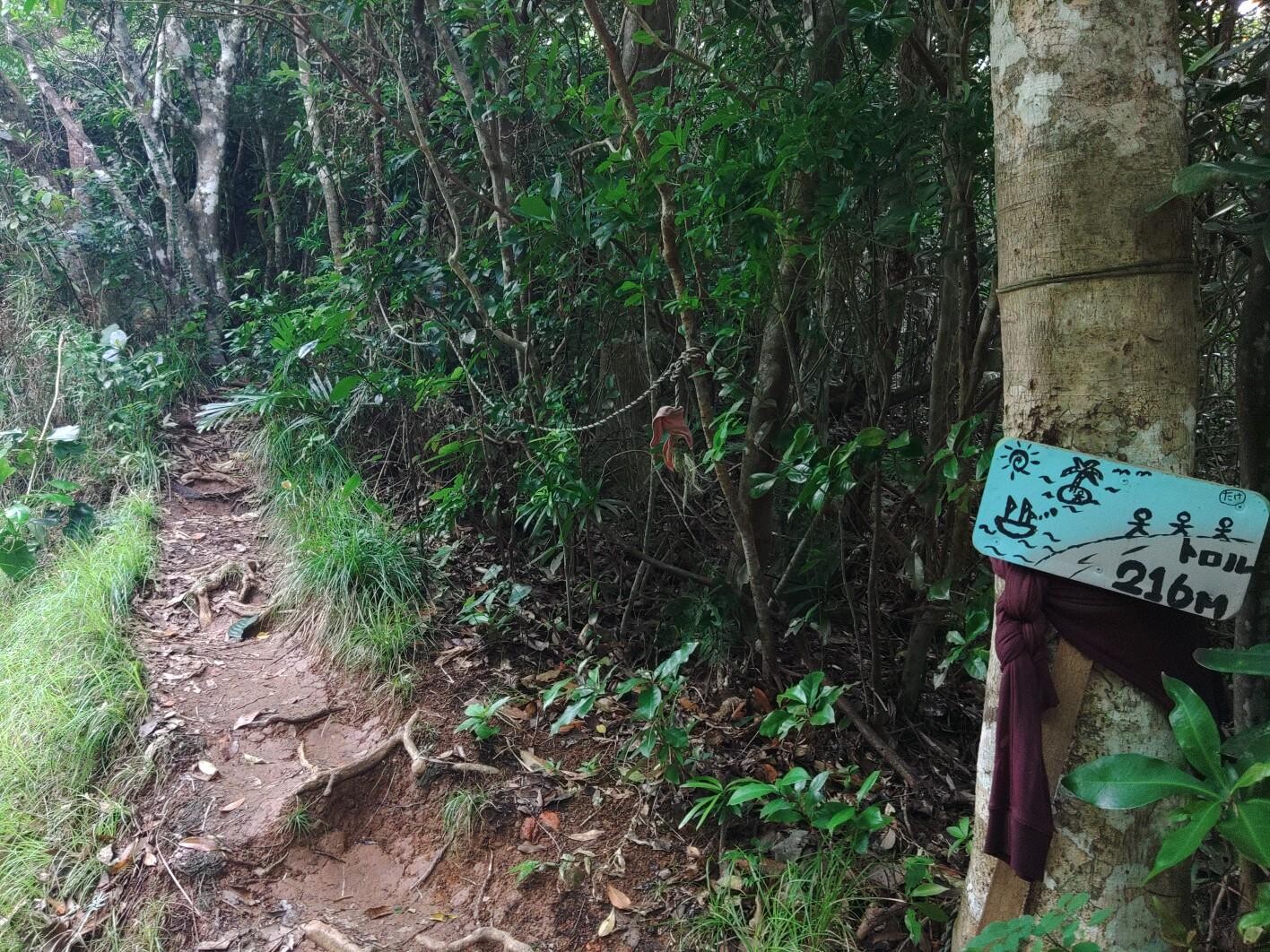 2座目:屋良部岳 / kazu66さんの石垣島 南部の活動データ | YAMAP / ヤマップ