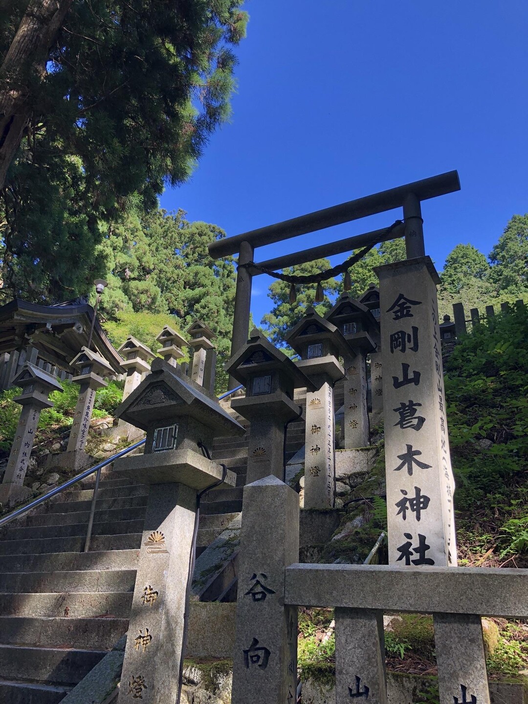 R5.8.27 金剛山 伏見峠 / のりさんの金剛山・二上山・大和葛城山の活動データ | YAMAP / ヤマップ