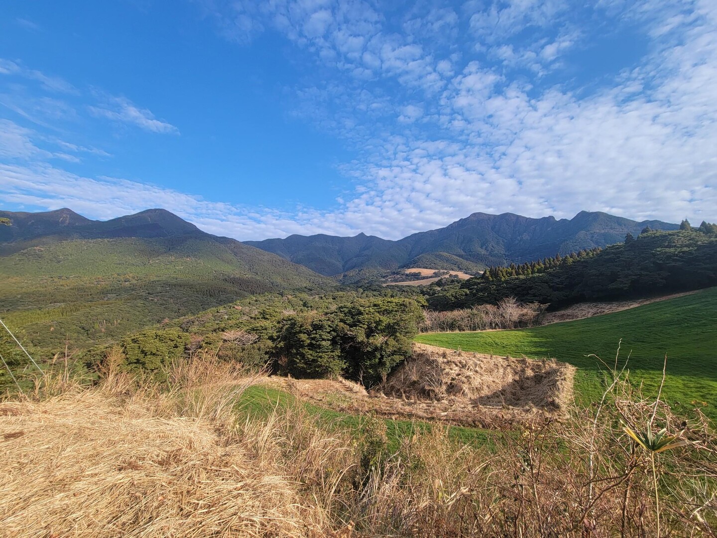 2025.1.5 忠兵衛岳・御岳・妻岳 / kouさんの高隈山・大箆柄岳・御岳の活動データ | YAMAP / ヤマップ