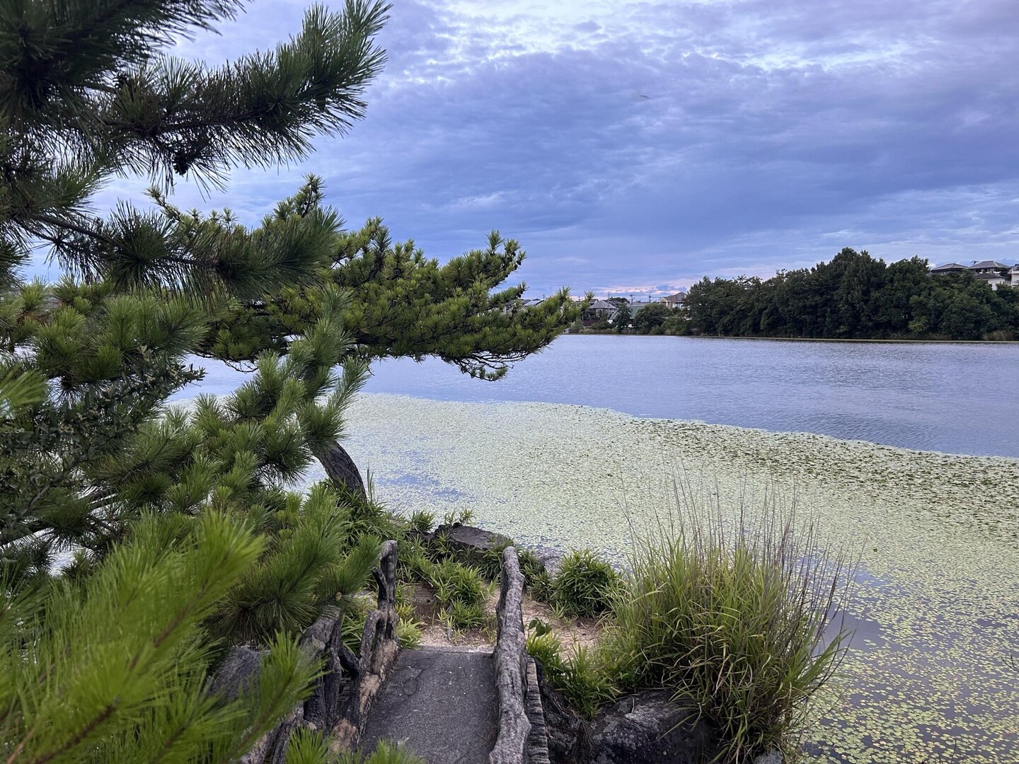 牧野ヶ池緑地（牧野池周回） / Thomasさんの名古屋市の活動データ | YAMAP / ヤマップ