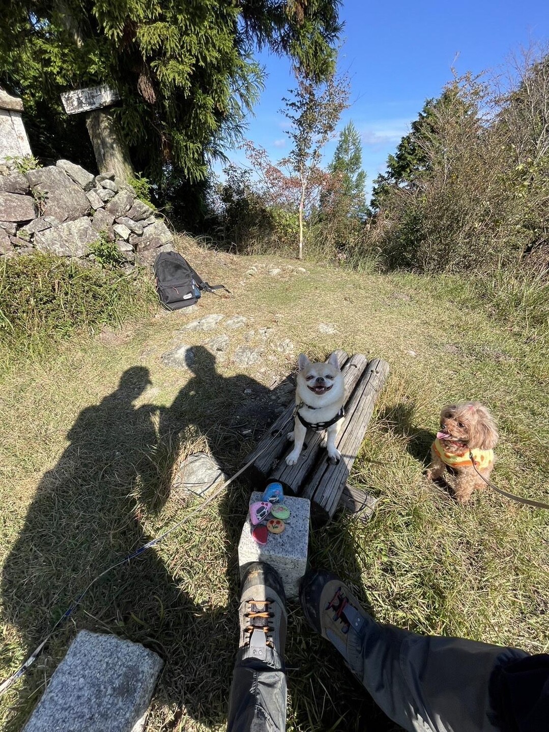 桂木山 / Seiji517さんの桂木山の活動データ | YAMAP / ヤマップ