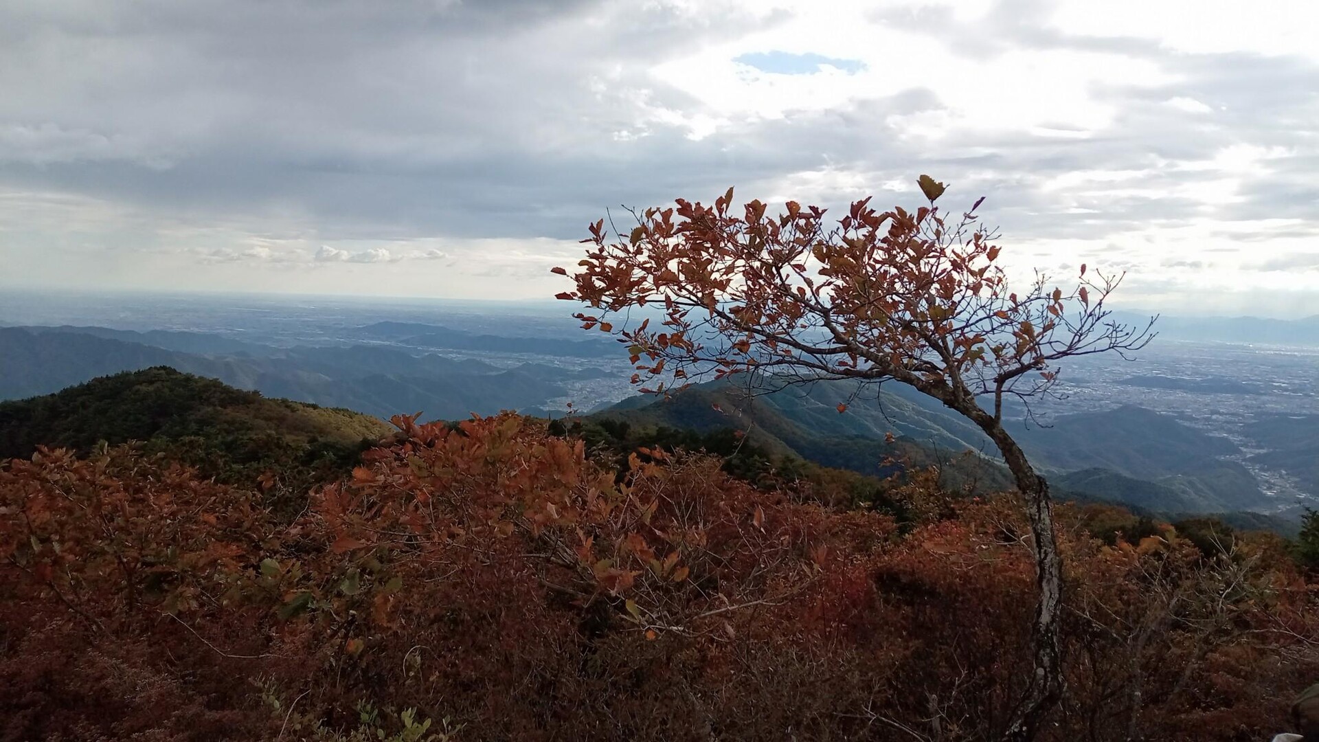 鳴神山（桐生岳） / Hiro'ismさんの鳴神山・吾妻山の活動データ | YAMAP / ヤマップ