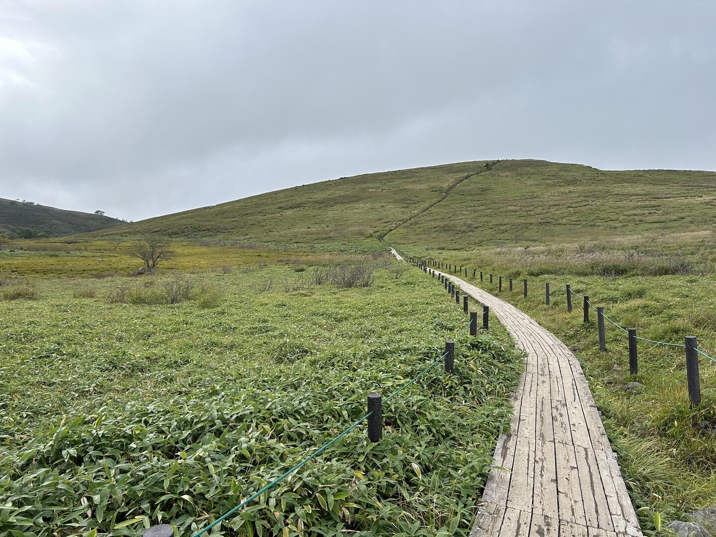 蝶々深山・霧ヶ峰（車山） / chiezさんの霧ヶ峰・車山・大笹峰の活動データ | YAMAP / ヤマップ