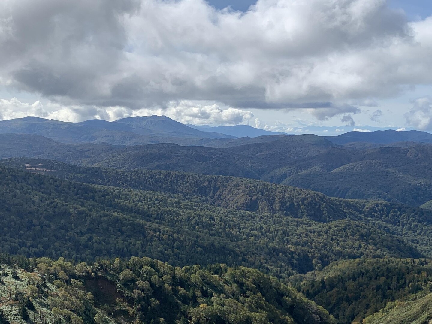 諸檜岳・前諸桧 / Reiさんの三ッ石山・大深岳・諸桧岳の活動データ | YAMAP / ヤマップ
