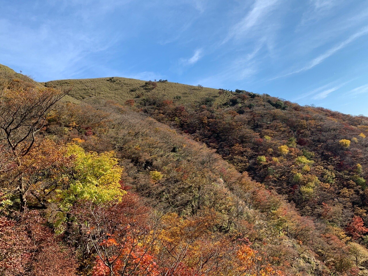 竜ヶ岳 / Madelineさんの竜ヶ岳の活動データ | YAMAP / ヤマップ