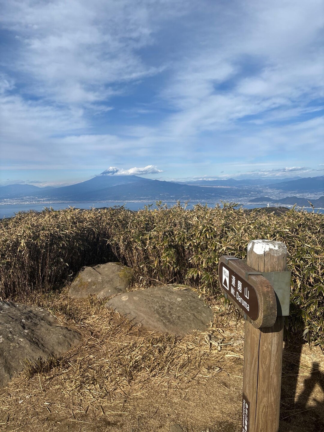 だるま山高原レストハウス-金冠山-小達磨山-達磨山 / T.kamaさんの金冠山・達磨山・葛城山の活動データ | YAMAP / ヤマップ