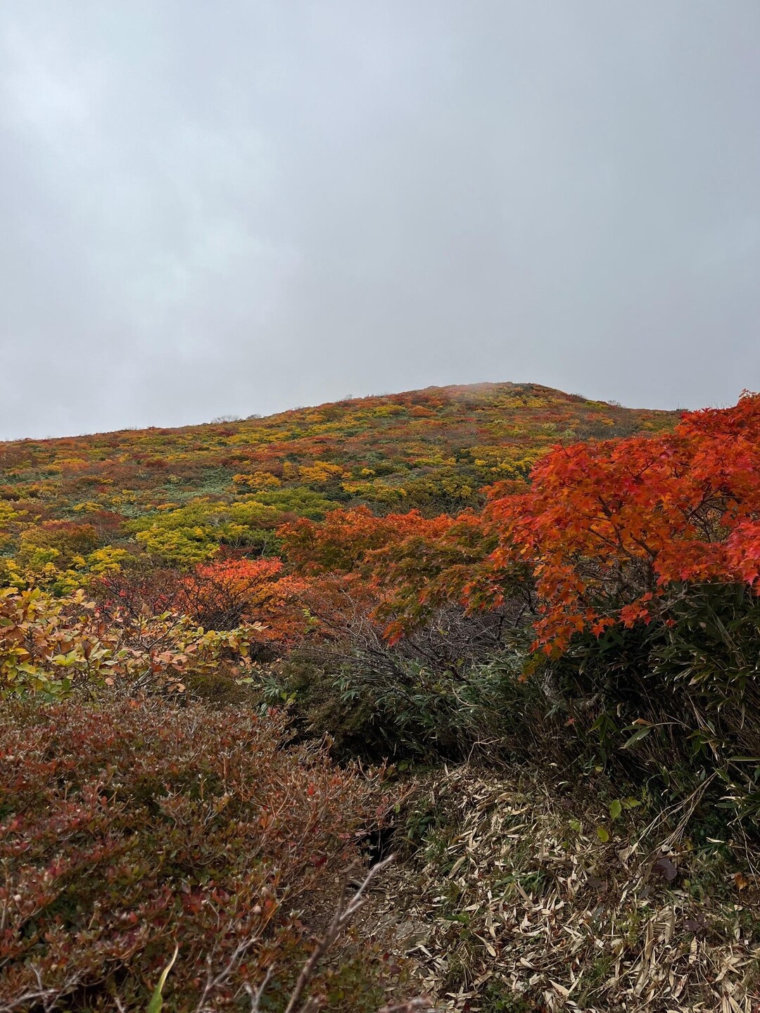 東栗駒山・栗駒山(須川岳)2024.no39 / yamaccoさんの栗駒山（須川岳）・秣岳・虚空蔵山の活動データ | YAMAP / ヤマップ
