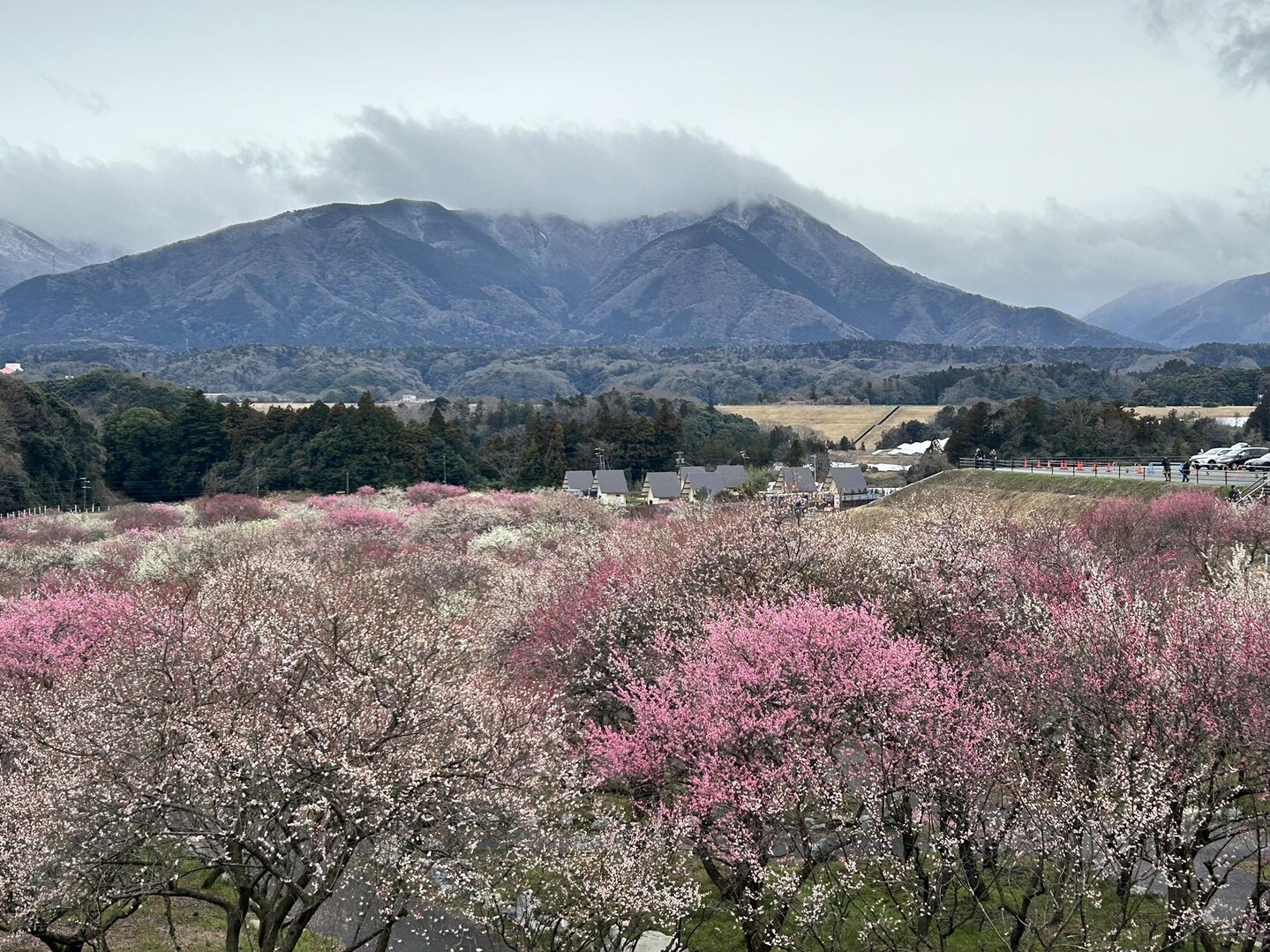 いっちゃんたまご直営カフェとやらに モー... / macoさんのモーメント | YAMAP / ヤマップ