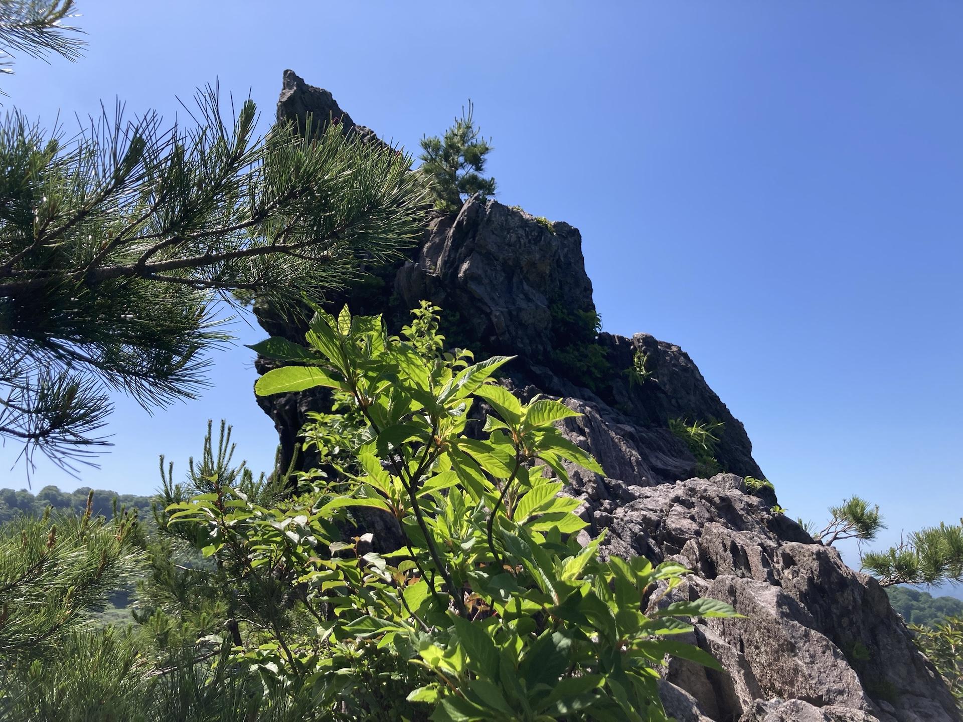 鳶岩 / ryuさんの医王山・白兀山・箱屋谷山の活動データ | YAMAP / ヤマップ